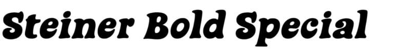 Steiner Bold Special font | DafontStyle