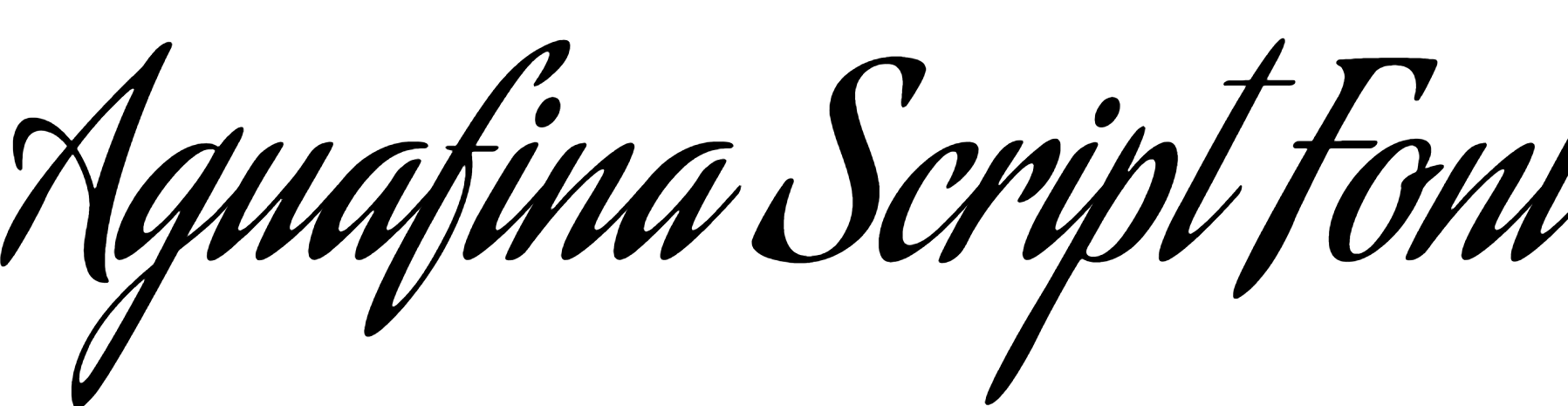 Aguafina Script Font | DafontStyle