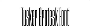 Tusker Grotesk Font | DafontStyle