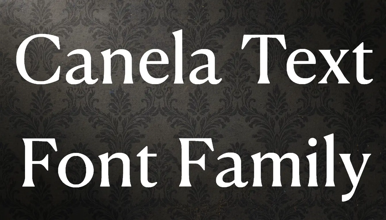 Canela Text Font Family | DafontStyle